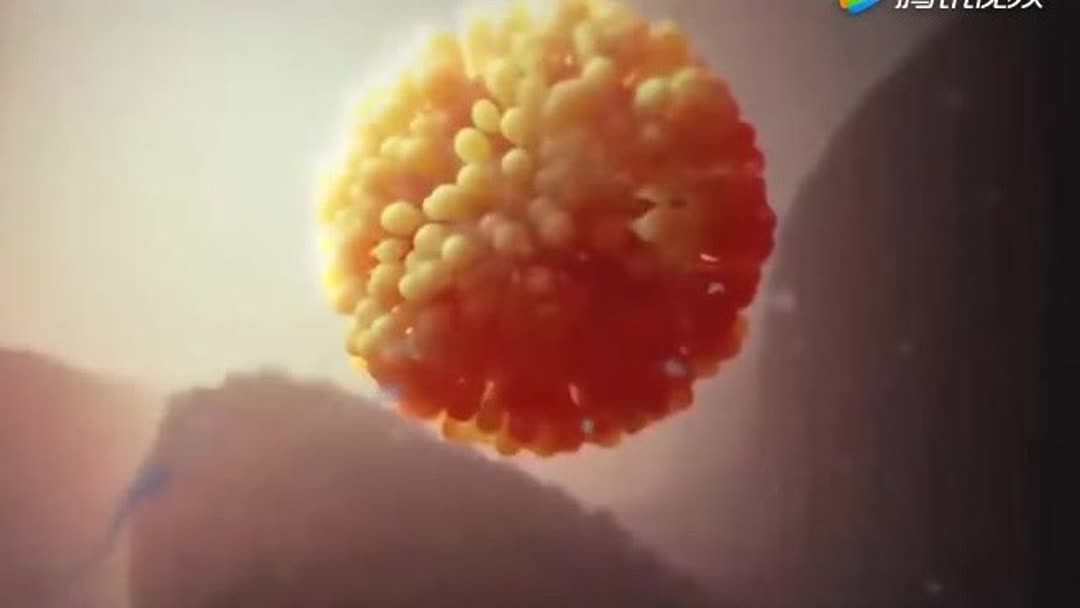 科普:2分子看完人体受孕全过程,宝宝是如何诞生的,生命真神奇