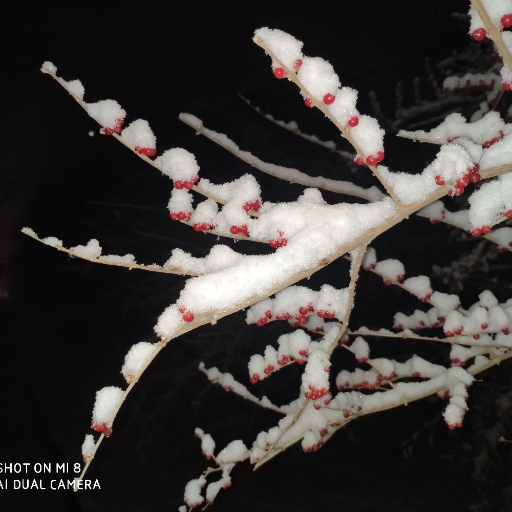 传播汽车文化zhe 