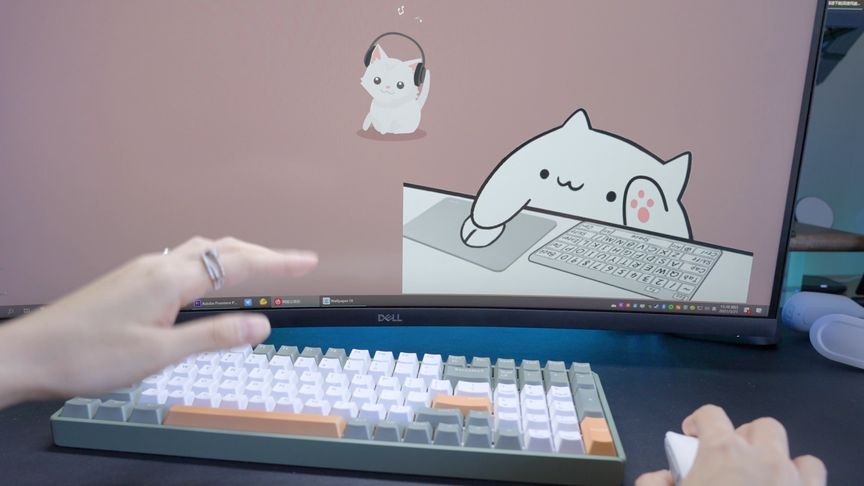 你们一定没见过这样养猫的 #bongocat #代打猫 #电脑桌面 #键盘