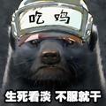 突击手蜜獾 