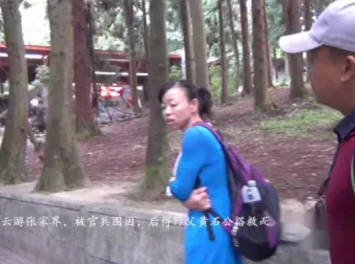 三游张家界(第三天) 游览 张家界国家森林公园黄石寨风景区