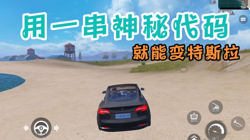 和平精英:用一串神秘代码变特斯拉!