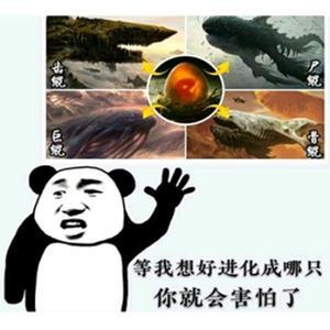 然哥的游戏故事 