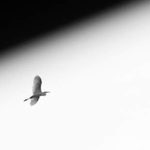 平面设计培训教程 