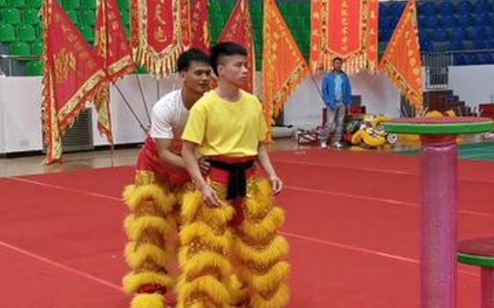 高桩狮王组合·中联黄飞鸿龙狮团