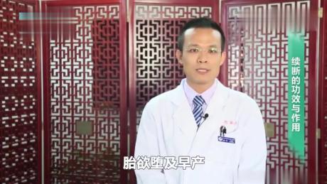 续断片的功效和其作用