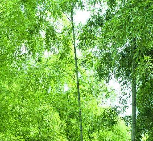 健康的视野 