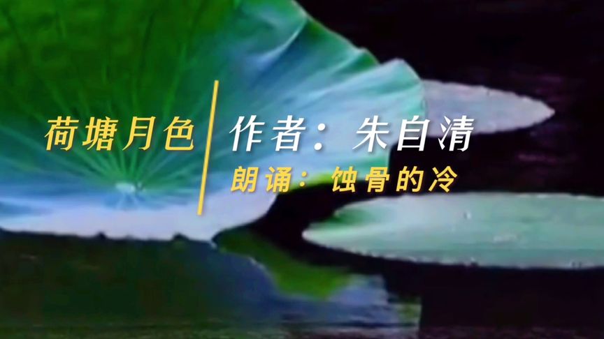 冷姐声音的世界 无限的乾坤 | 《荷塘月色》诵读:蚀骨的冷