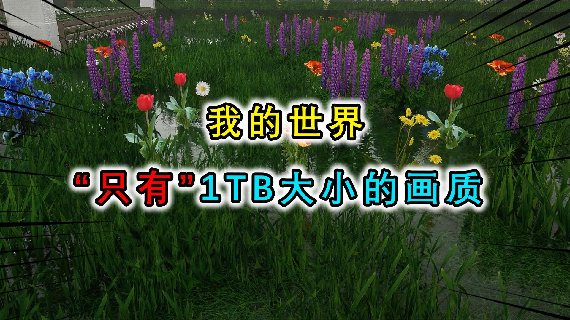 我的世界:盘点超真实的画质,顶级配置才显现1TB大小的世界