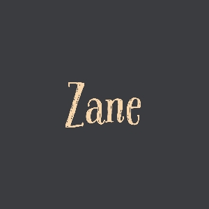 Zane的英语世界 