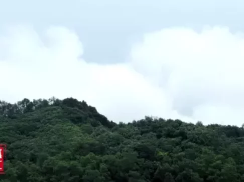 蓝天白云森林树木高清延时白云飘动视频素材鹏城文化