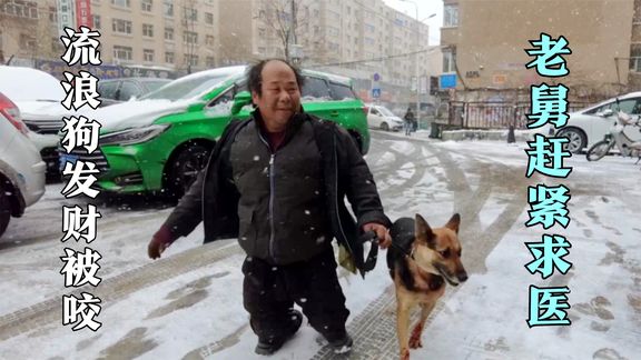 狗狗发财下额被咬,老舅赶紧带它求医,医生检查后需缝针好心疼