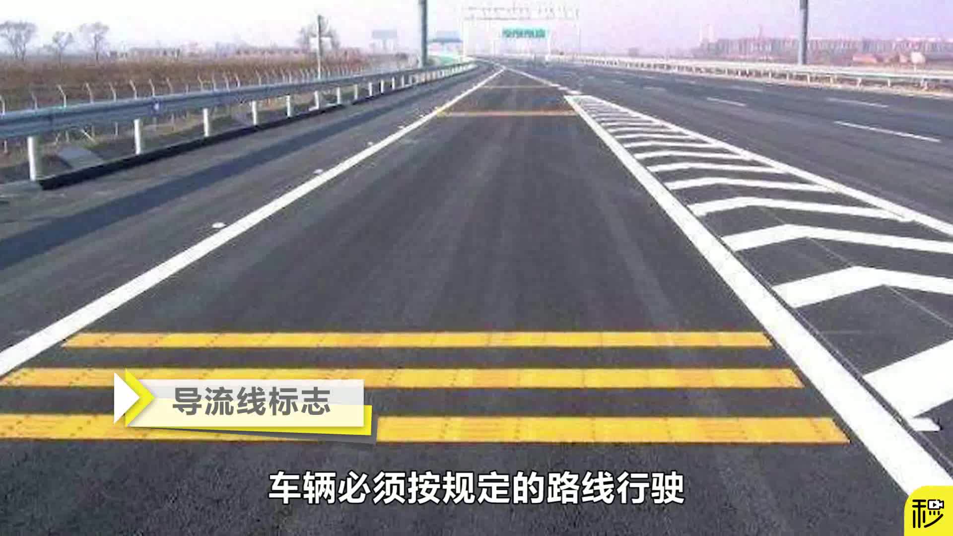 这些路面标线老司机看完全蒙圈 不懂12分一周扣完