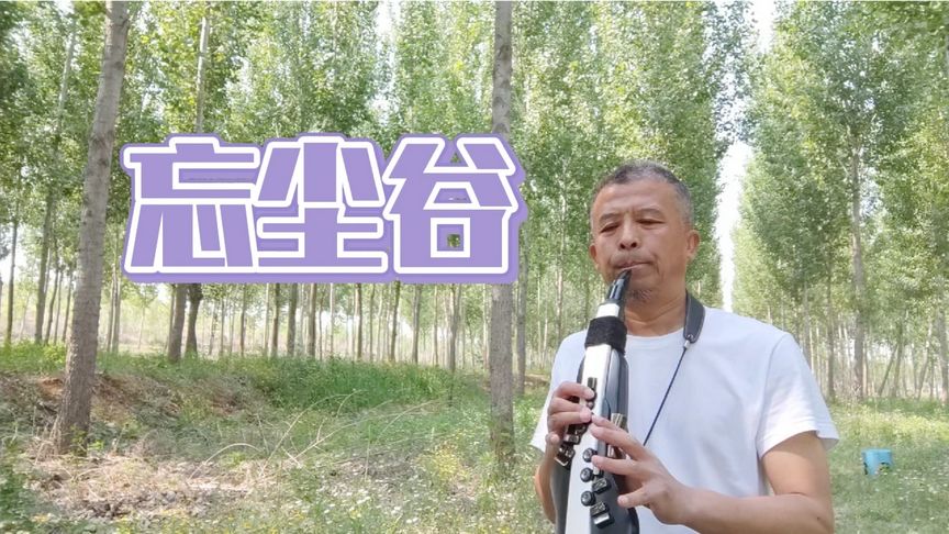 忘尘谷,罗兰ae20电吹管吹奏,箫音色 D调,原唱 刘珂矣,与游。