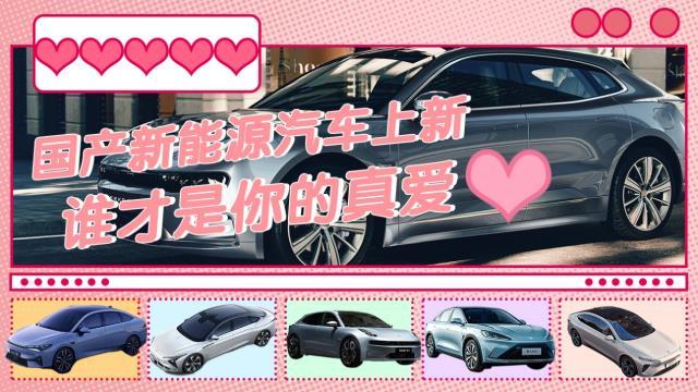 国产新能源汽车崛起,谁才是你心中的NO·1?