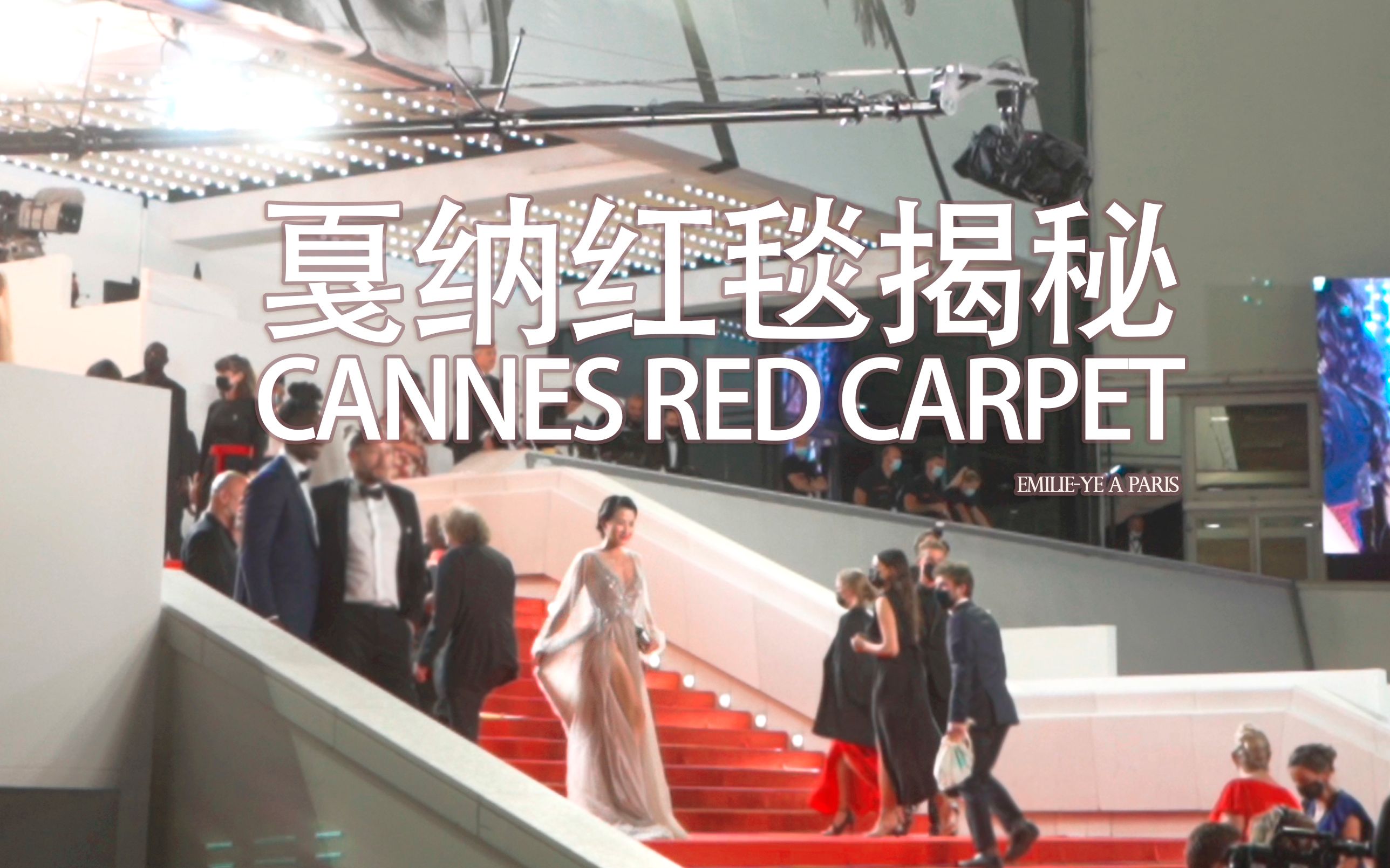 明星们的红毯|戛纳揭秘