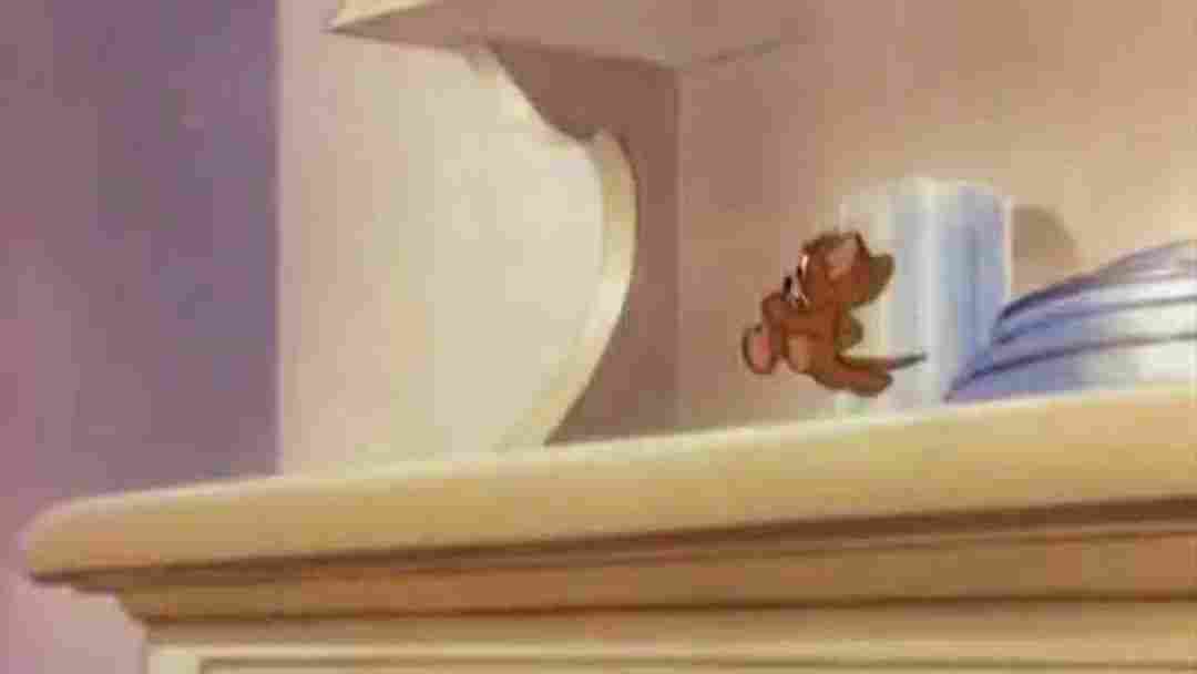 猫和老鼠,汤姆追小老鼠遇上了野猫,结果两只猫为了小老鼠打起来