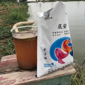 水产养殖王元齐 