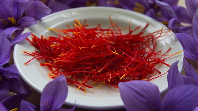 AI播康养|食用藏红花 可泡水煮粥