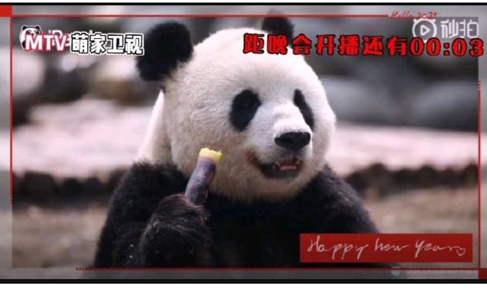 【大熊猫萌萌】萌家春晚特别节目