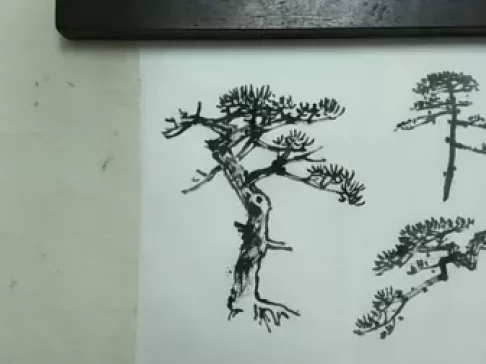 【听雨山房国画课】松树画法