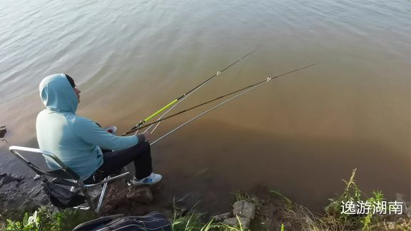 炎热夏季河边是单杆还是双杆垂钓好?看看钓友闸口边实战就明白了