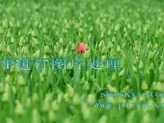 IPP图像处理