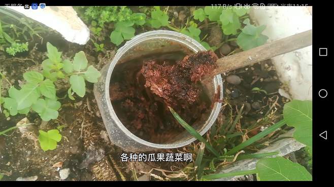 厨余垃圾“全新”发酵方法!养花再也不用买肥料