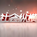 广东卫视社会纵横 