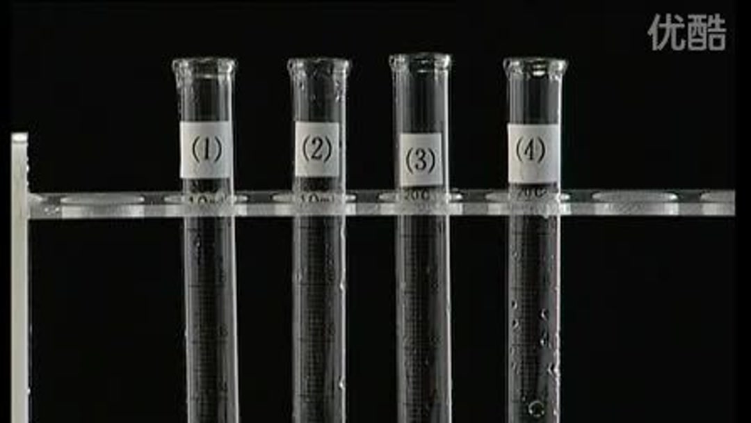 比较过氧化氢在不同条件下的分解.flv