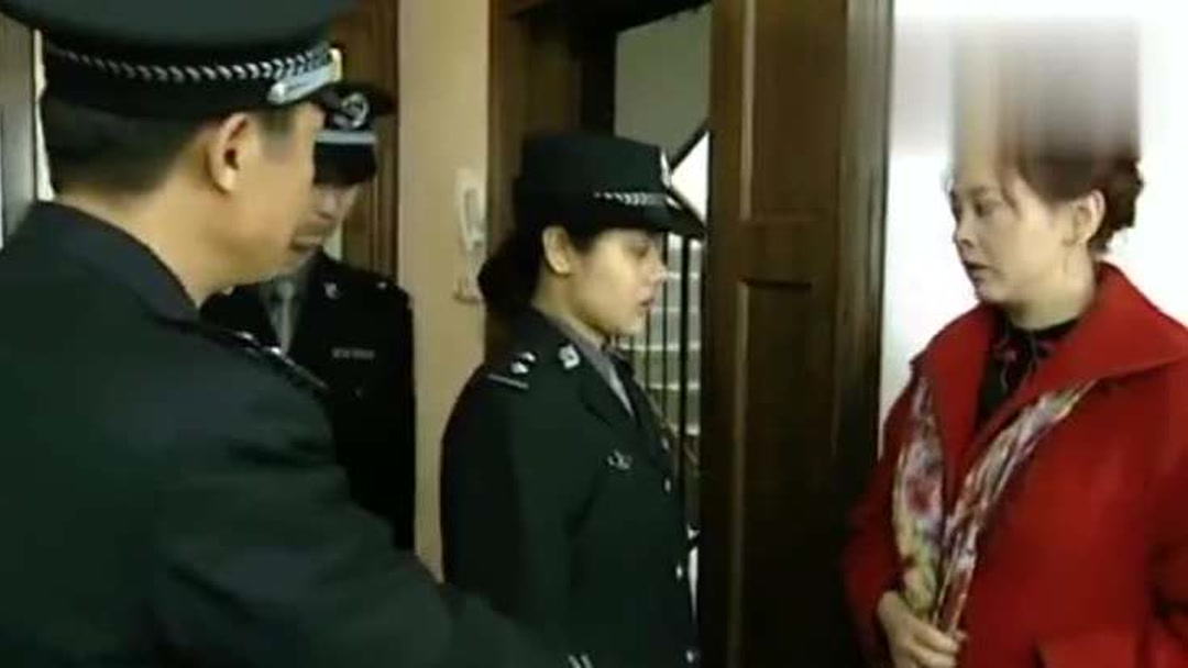 龙年档案干部被审查家中被盗还没等女主人报警,警察找上门了