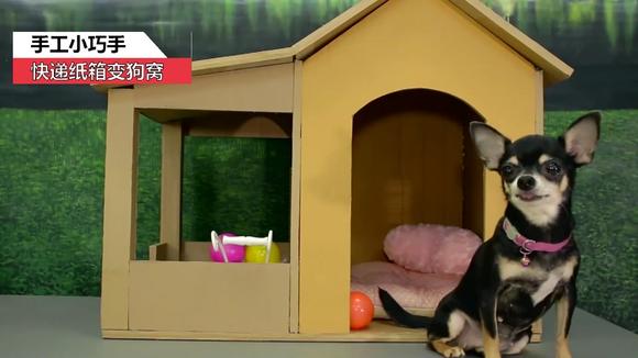 拯救手残党!简单几步快递纸箱变成温馨狗窝