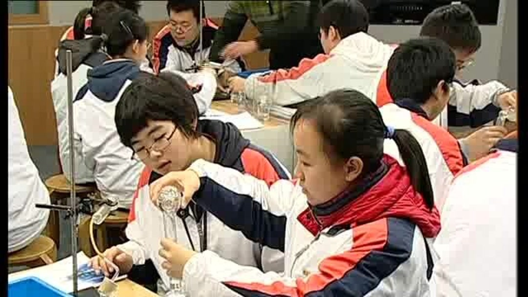 高中新课程标准示范课例-化学《化学反应速率》