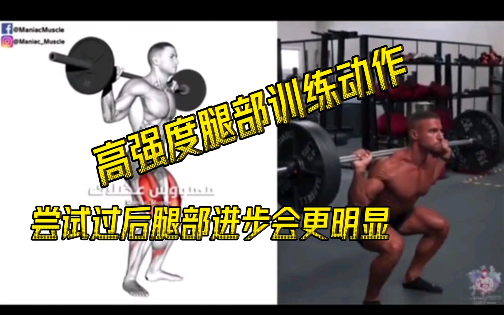 高强度腿部训练动作计划,腿部训练动作大全,经典腿部训练动作,健身房...