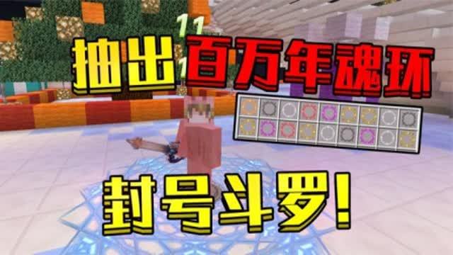 当在我的世界里成为封号斗罗!抽出百万年魂环!