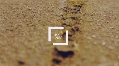 高三社会实践游记预告