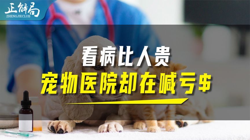 看病比人贵,为什么宠物医院喊:不挣钱?