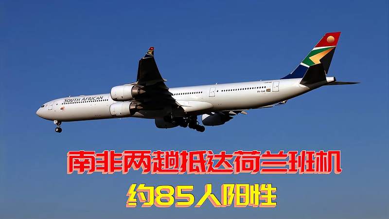 南非两趟达荷兰班机约85人新冠检测呈阳性,正检测是否为变异毒株