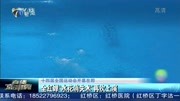 全红婵“水花消失术”再次上演