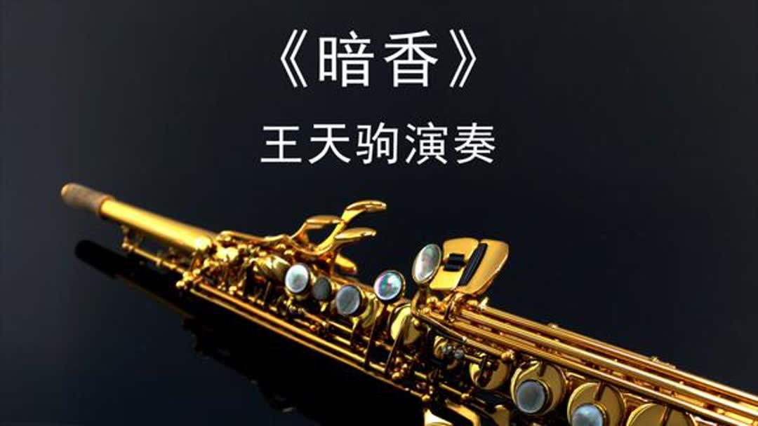 高音直管萨克斯演奏《暗香》古典韵味诠释的淋漓尽致,一遍听不够