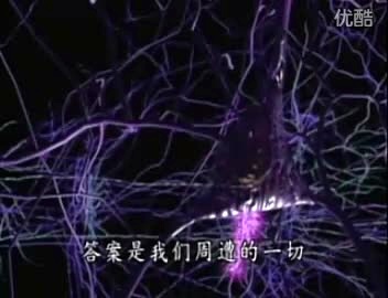 大脑神经网络成形的关键期(幼儿)