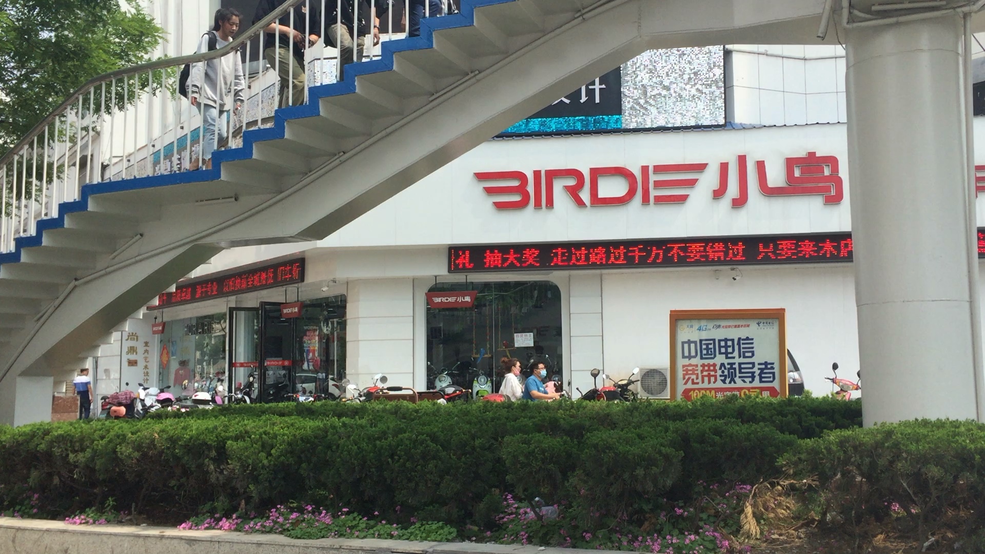 小鸟电动车 小鸟电动车