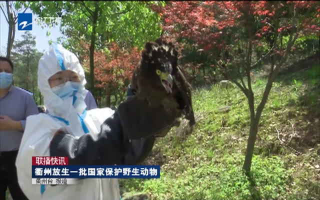 联播快讯 衢州放生一批国家保护野生动物