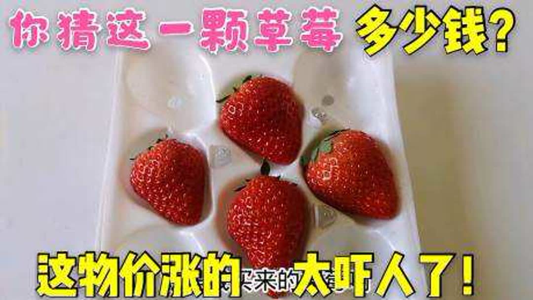 涨价的不止是猪肉?现在连水果都吃不起了,知道草莓多少钱一颗?