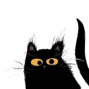 Meow911 
