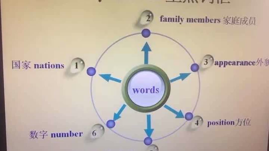 三年级下期末复习视频讲解1