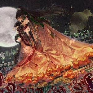 憨憨兔家的搬运工 