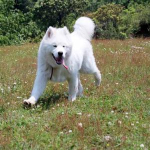 追赶数字化的老年人 