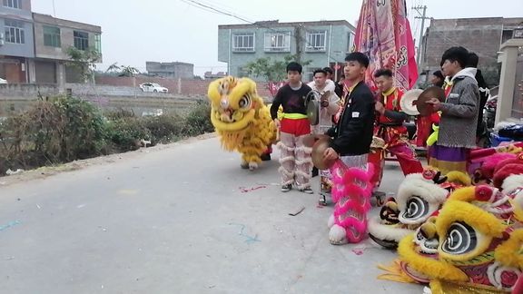 舞狮表演节目