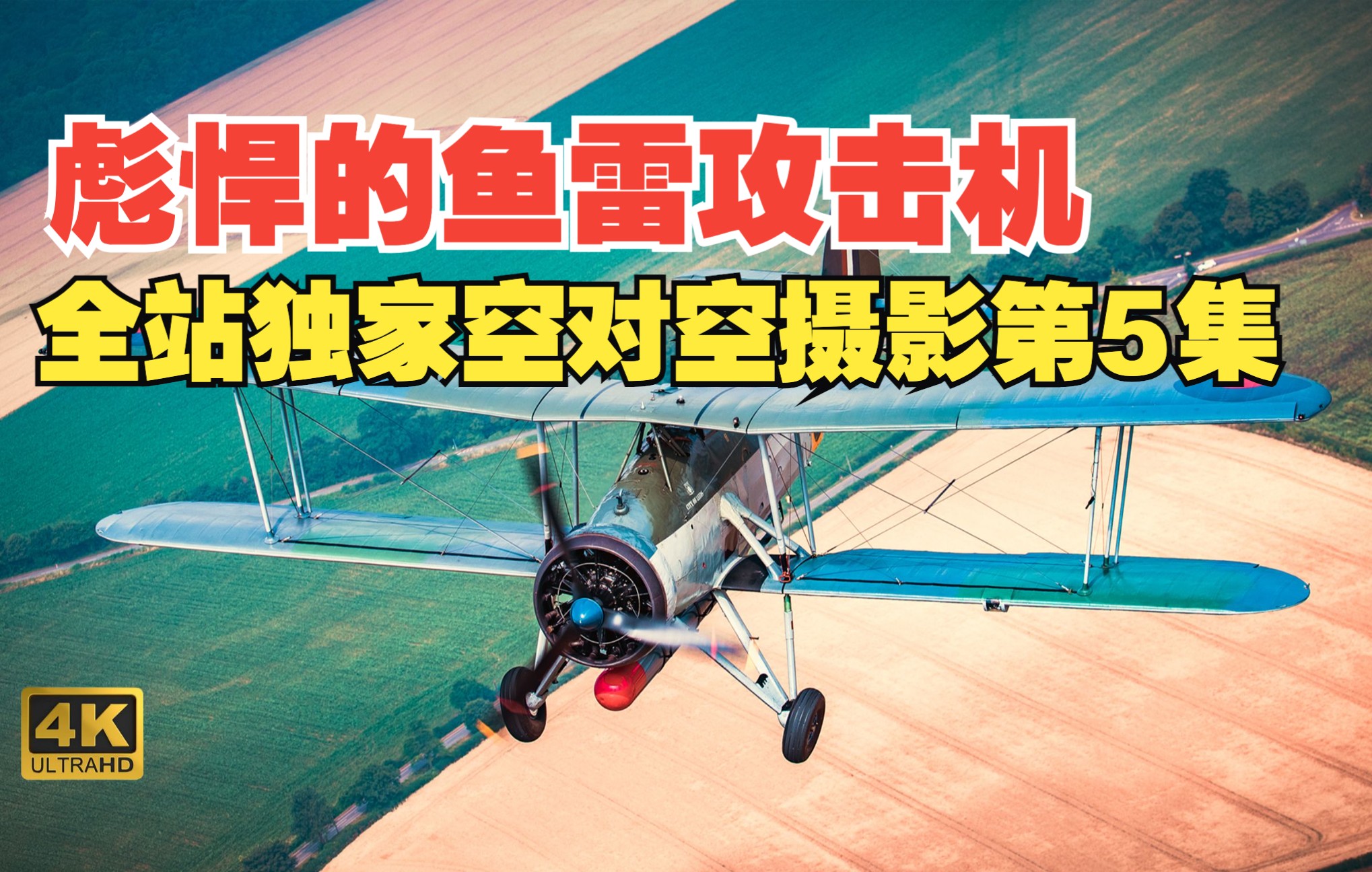 ...挂着鱼雷的攻击机 | 超侧卫空对空摄影之五:剑鱼双翼螺旋桨鱼雷攻击机